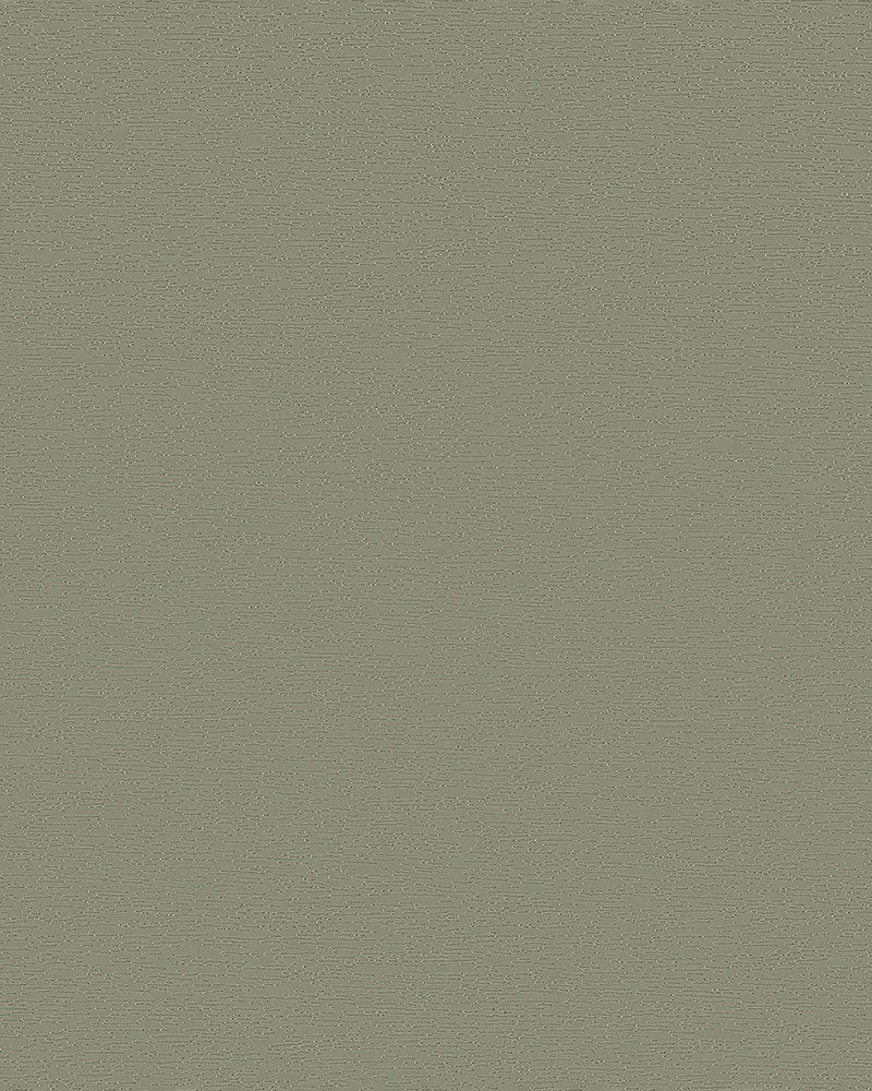 Kunststoff Eingangstür PVC Modell 15